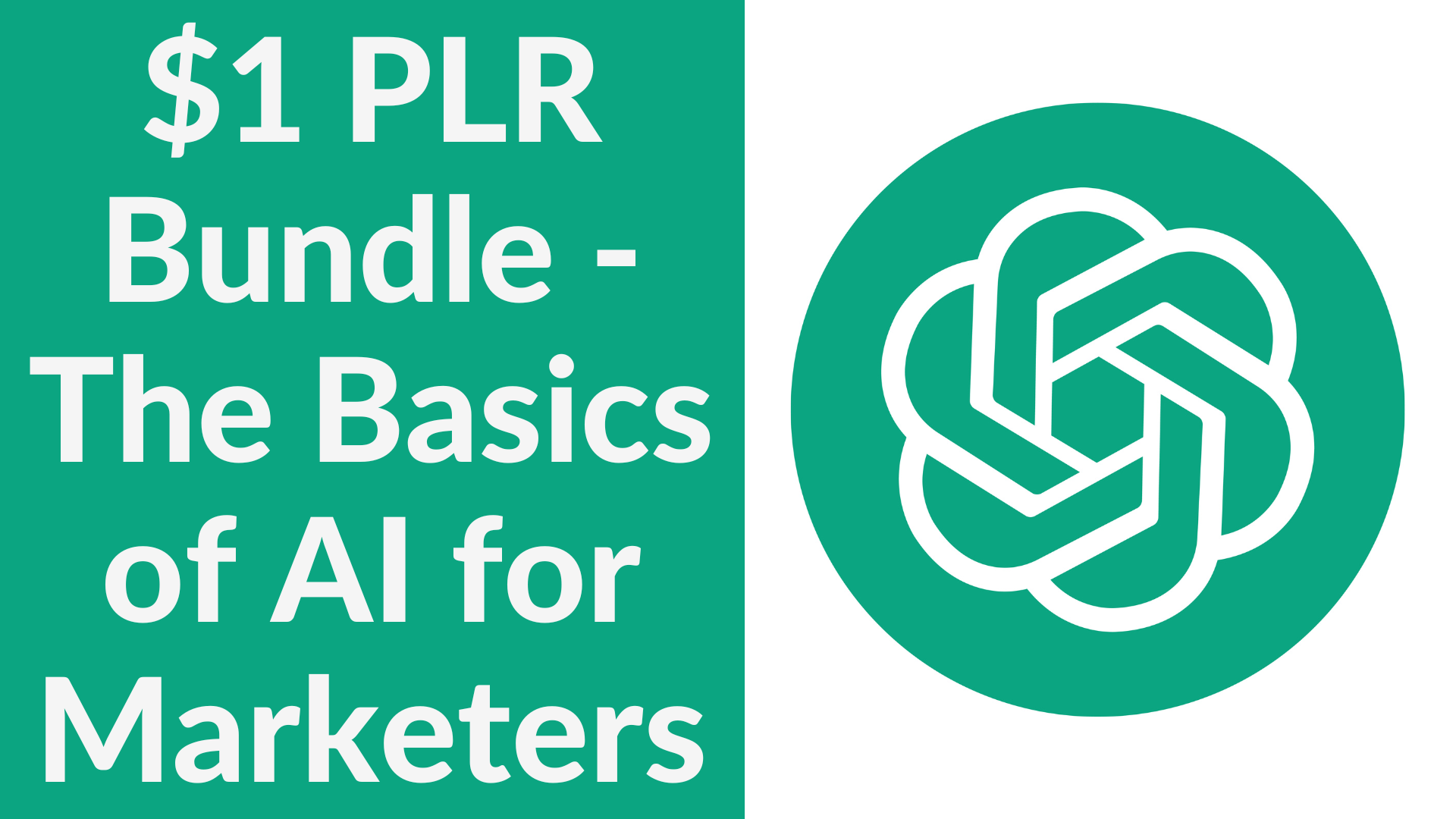 $1 PLR Bundle – The Basics of AI for Marketers – PLR Launch