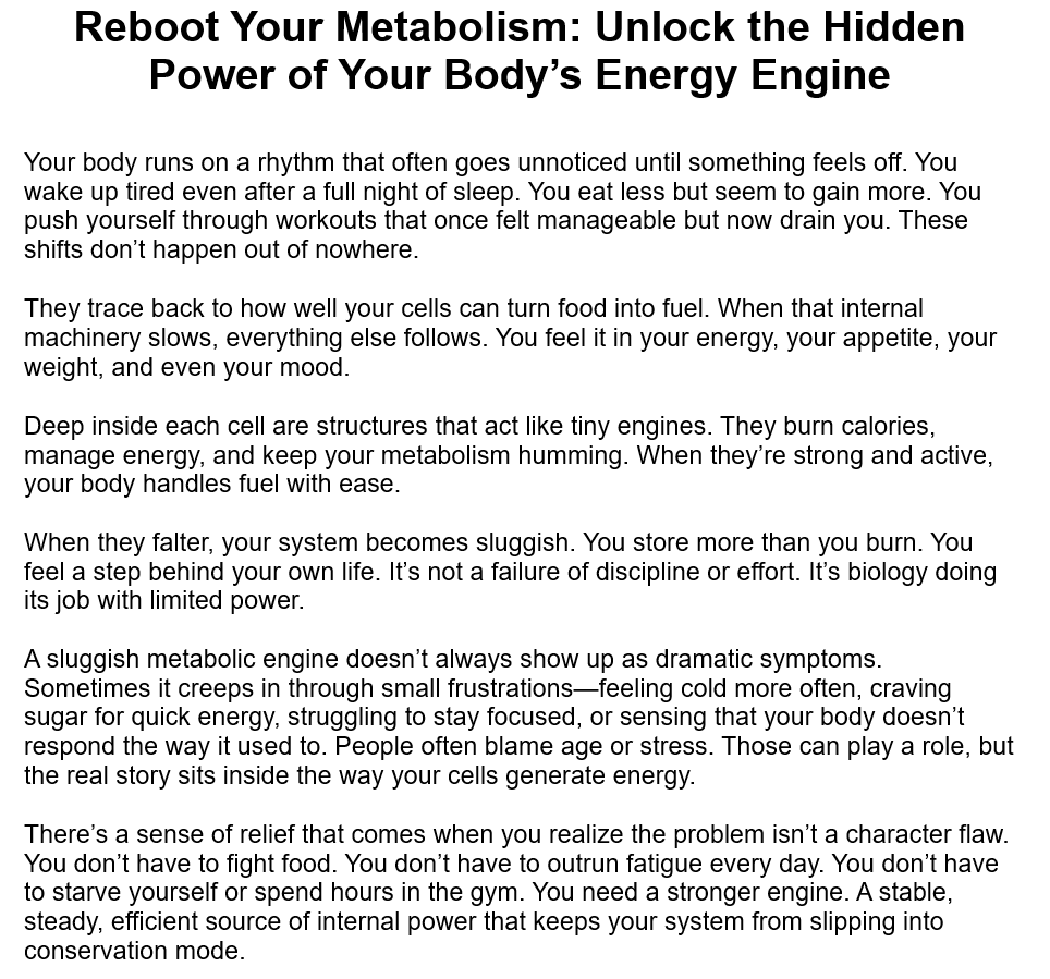 Lead Magnets for the Top 10 ClickBank Products – AI PLR – PLR Launch